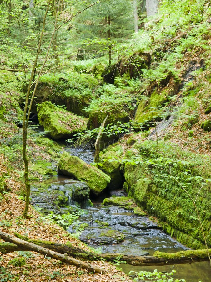 Mountain stream stock photo. Image of hill, green, natural - 40557006