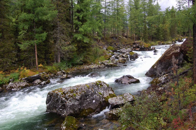 Mountain Stream in the Sayan Taiga. Stock Photo - Image of current ...