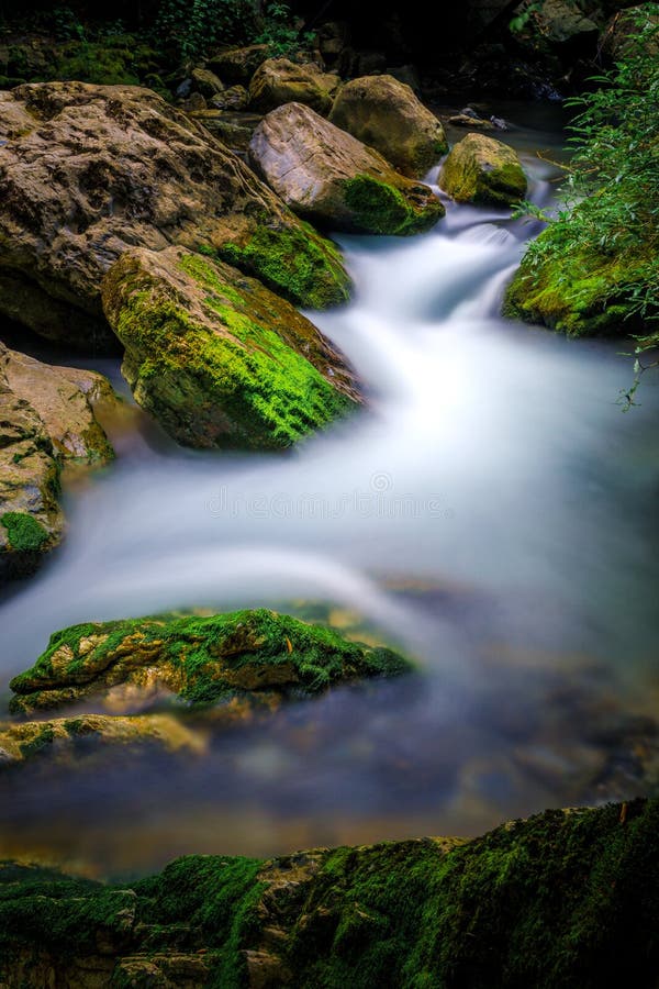 Ravine stream stock image. Image of falls, stream, path - 145450195