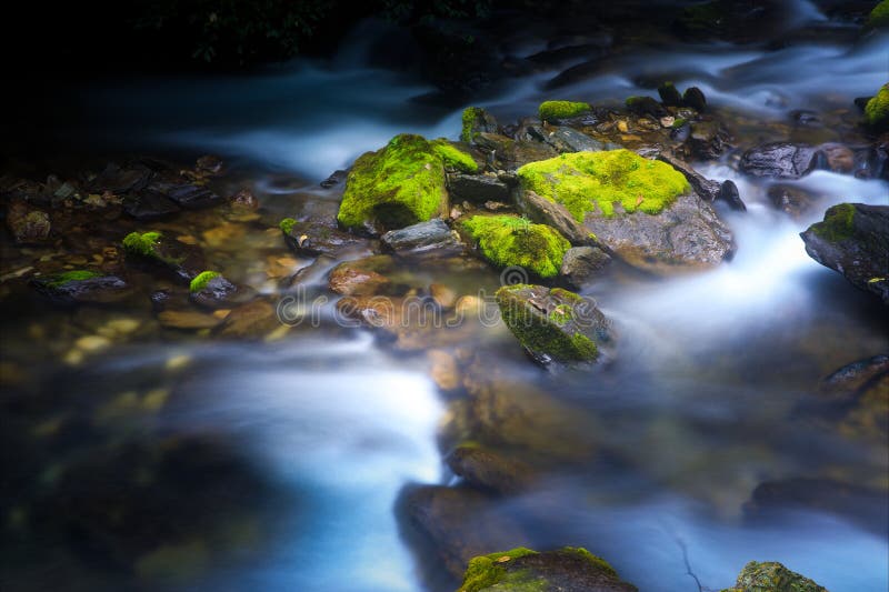 Ravine stream stock image. Image of falls, stream, path - 145450195