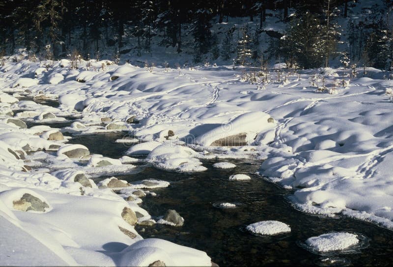 Mountain Stream with Snow in Engadin, Switzerland Stock Photo - Image ...