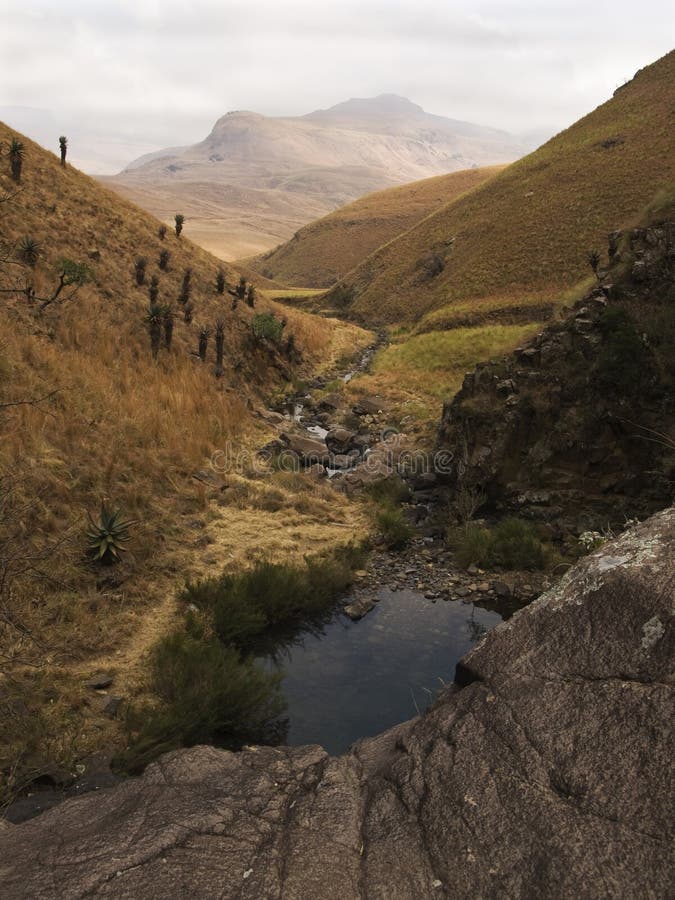 Mountain Stream in South Africa Stock Image - Image of south, wild: 7290749