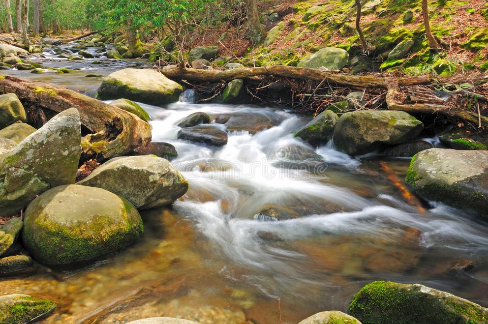Mountain Stream in the Spring Stock Image - Image of tennessee, great ...