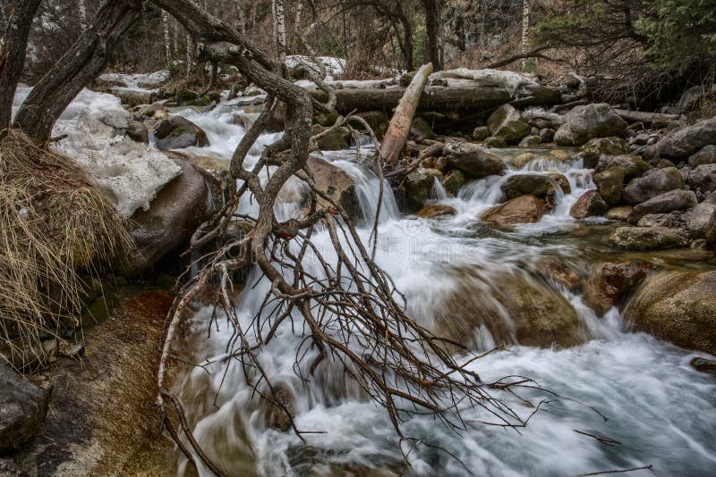 Mountain Stream in the Spring. Stock Image - Image of motion, river ...