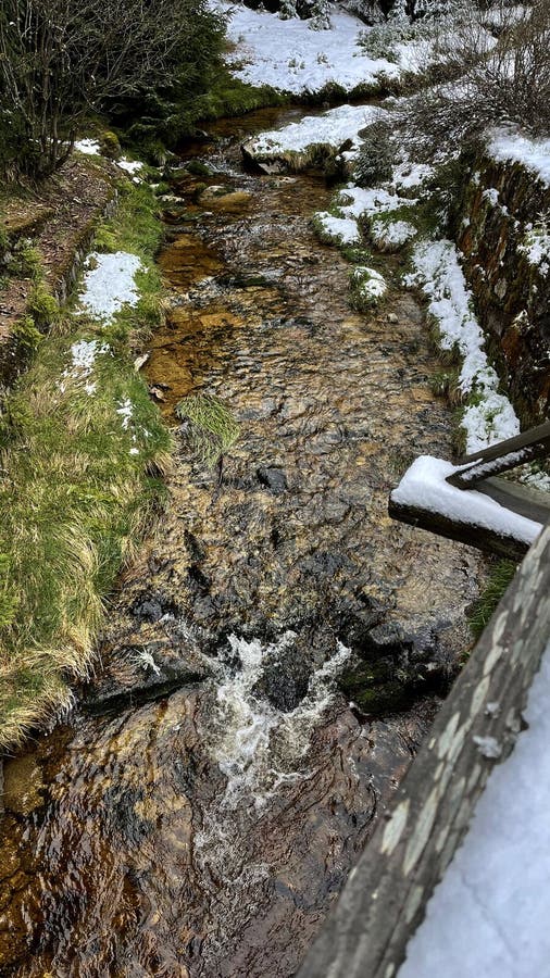 Mountain Stream in Spring, Flowing Water in the Polish Sudeten ...