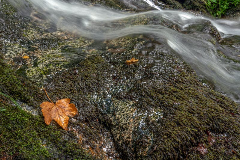 Mountain Stream in the Spring Stock Photo - Image of spring, source ...
