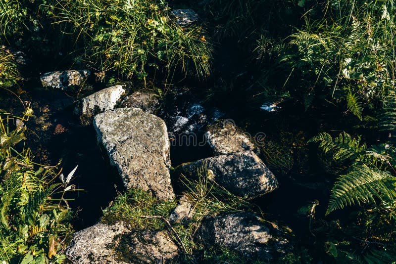 Mountain Stream, a Spring in the Rocks Stock Image - Image of stream ...