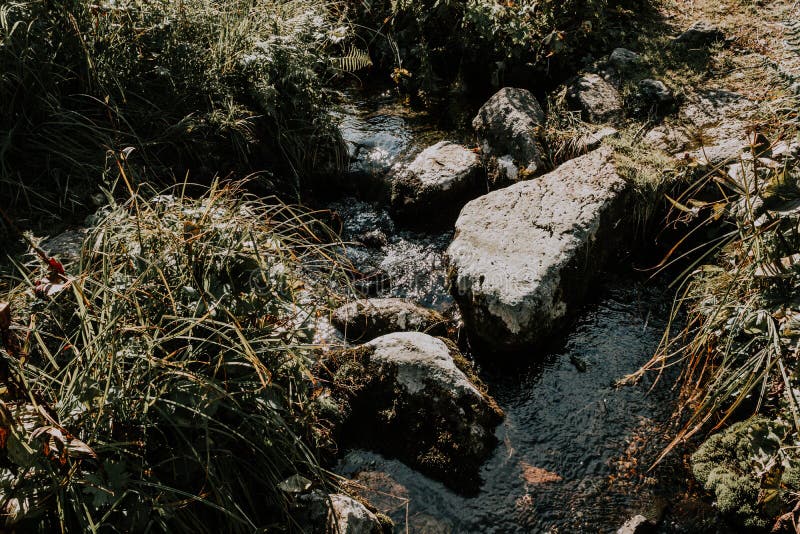 Mountain Stream, a Spring in the Rocks Stock Photo - Image of mountains ...