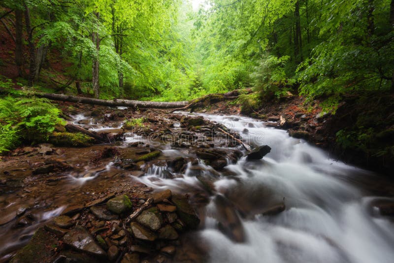 Stream, Spring Landscape, Great Smoky Mtns NP Stock Photo - Image of ...