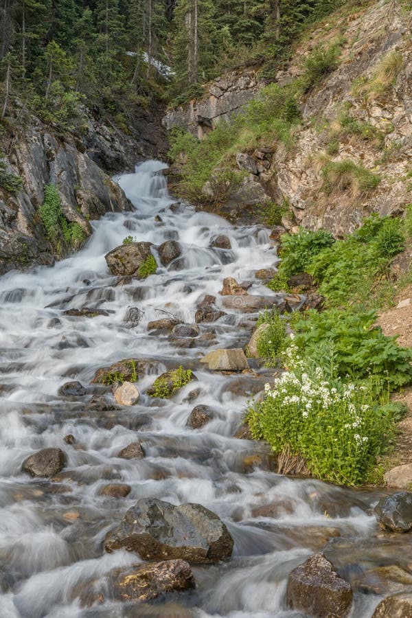 Mountain Stream in Summer stock photo. Image of mountain - 99446470