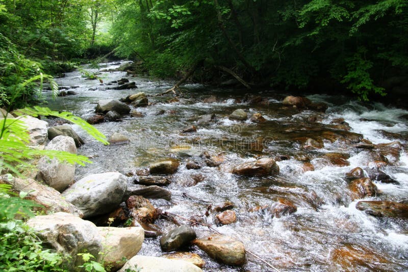 Summer Creek stock image. Image of flow, waters, lush - 29955833