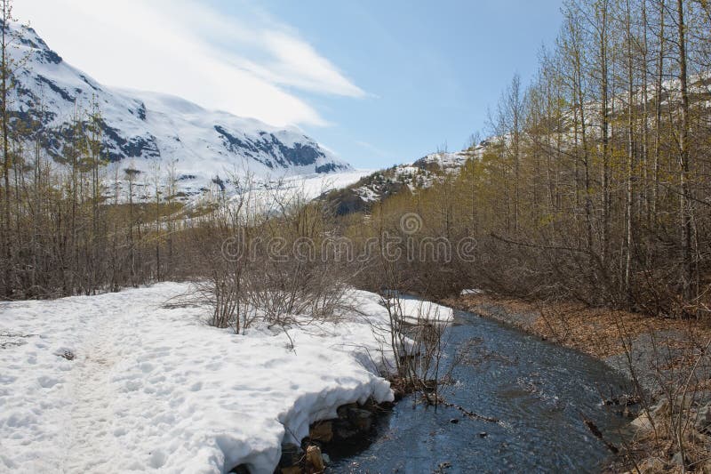 Mountain stream and trail stock photo. Image of stream - 11472648