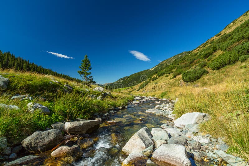 Mountain Stream in the Transylvanian Alps Stock Photo - Image of growth ...