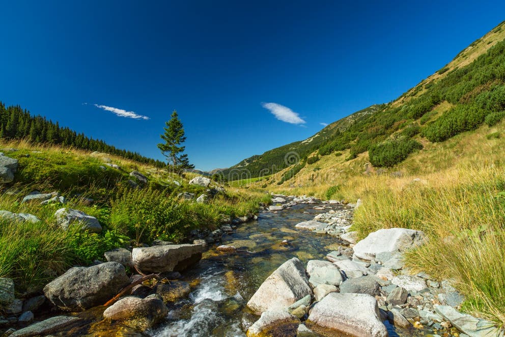 Mountain Stream in the Transylvanian Alps Stock Photo - Image of growth ...