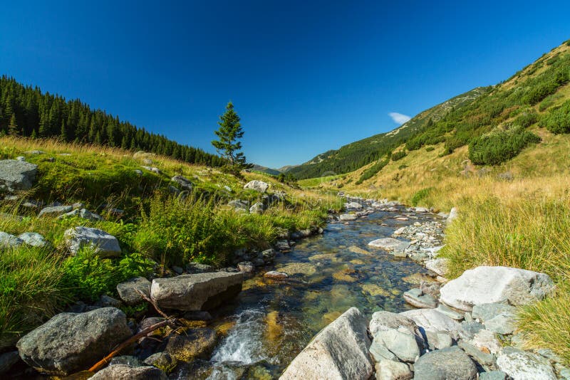 Mountain Stream in the Transylvanian Alps Stock Image - Image of nature ...