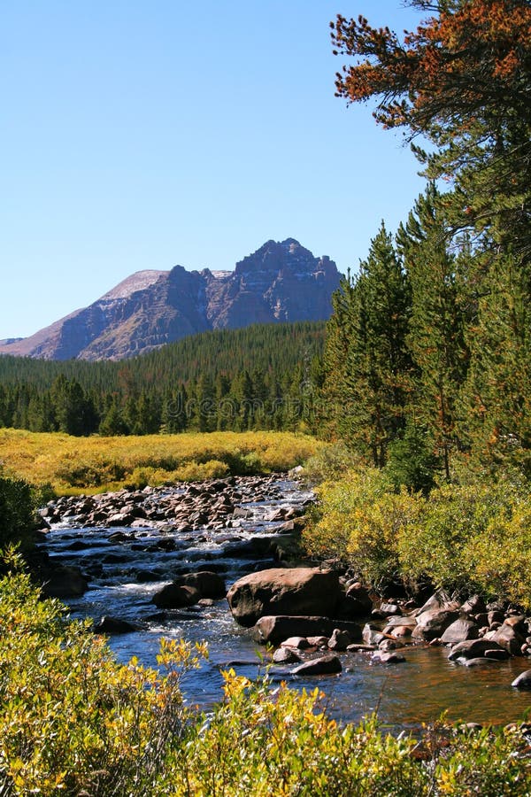 Mountain Stream in the Uinta Mountains in Utah Stock Image - Image of ...