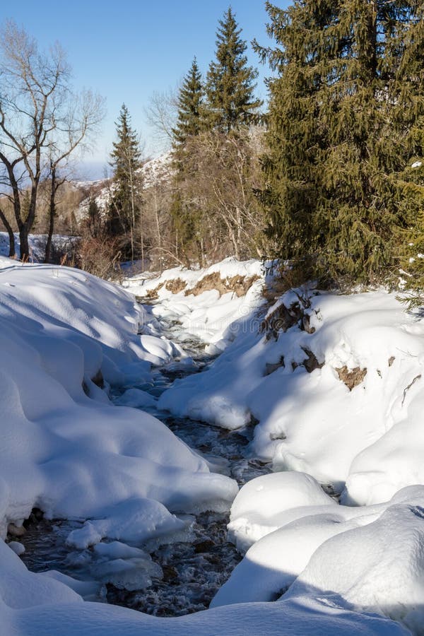 Mountain Stream Under the Snow Stock Photo - Image of frosty, creek ...