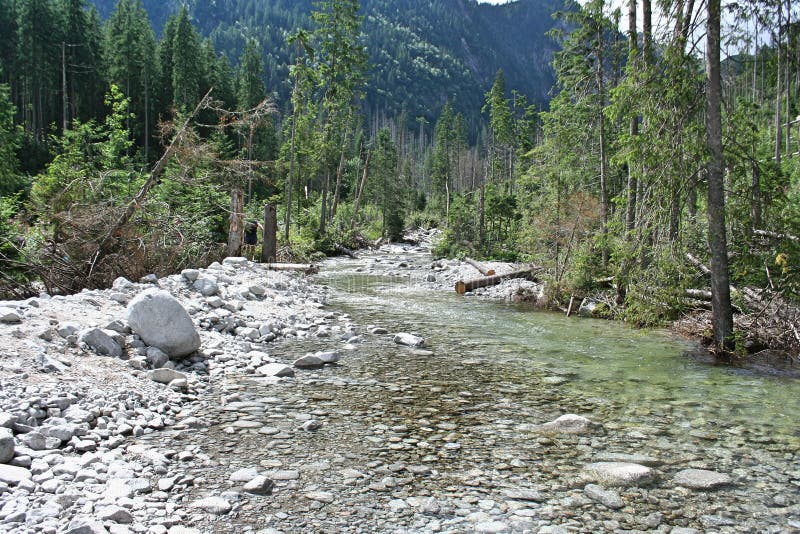 Mountain Stream. a View of a Mountain Stream in National Park Stock ...