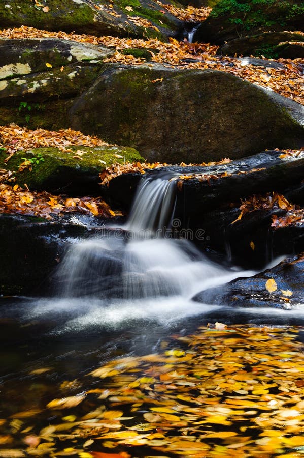 Mountain Stream and Waterfall Stock Image - Image of colorful, national ...
