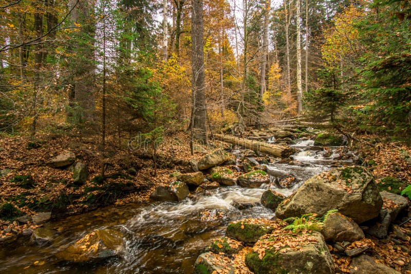 Mountain Stream with Waterfall in an Autumn Forest Stock Image - Image ...