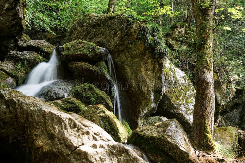 Mountain Stream Waterfall stock image. Image of water - 58412319