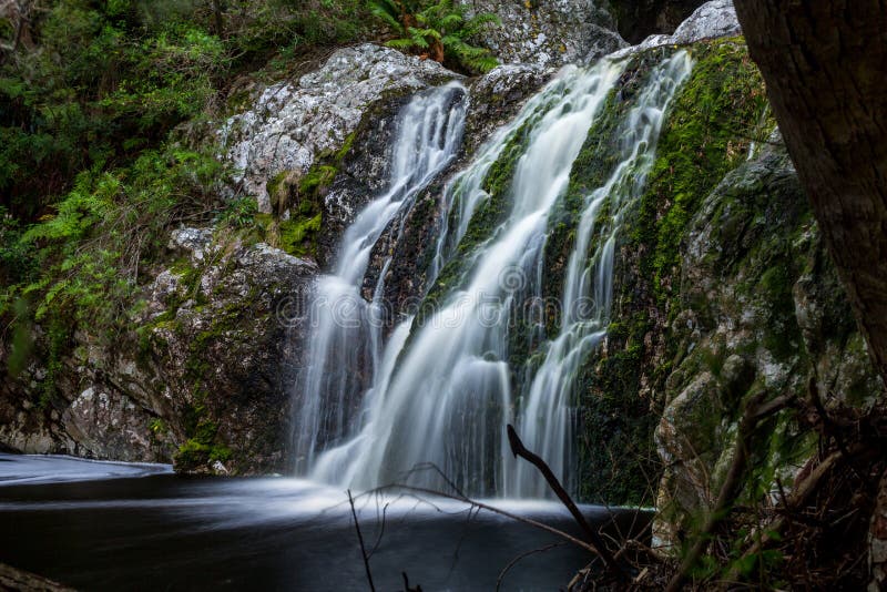 Mountain Stream and Waterfall in the Forest Stock Photo - Image of ...