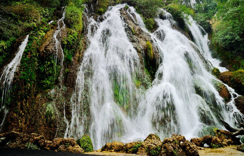 Mountain Stream Waterfall and Trees Stock Photo - Image of scenery ...