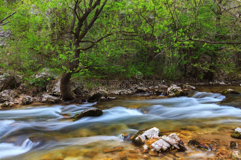 Mountain Stream and Waterfalls in the Forest in Spring Stock Photo ...