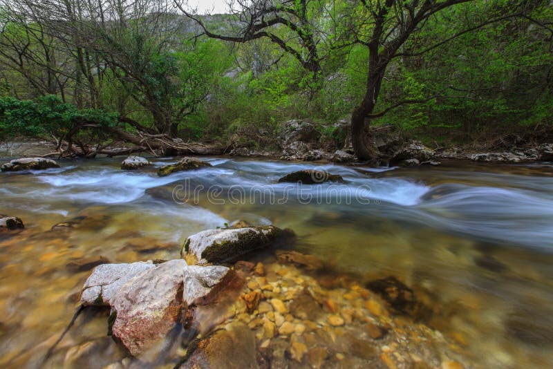 Mountain Stream and Waterfalls in the Forest in Spring Stock Photo ...