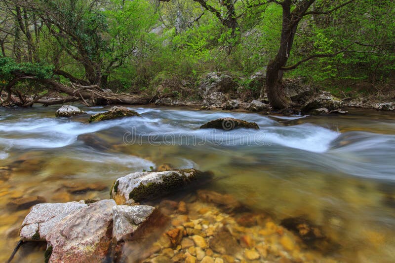 Mountain Stream and Waterfalls in the Forest in Spring Stock Image ...