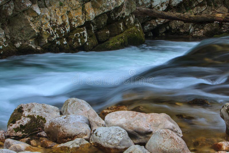 Mountain Stream and Waterfalls in the Forest in Spring Stock Photo ...