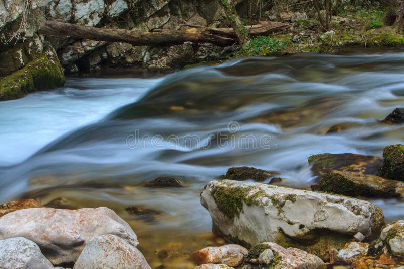 Mountain Stream and Waterfalls in the Forest in Spring Stock Image ...