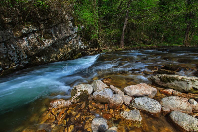 Mountain Stream and Waterfalls in the Forest in Spring Stock Image ...