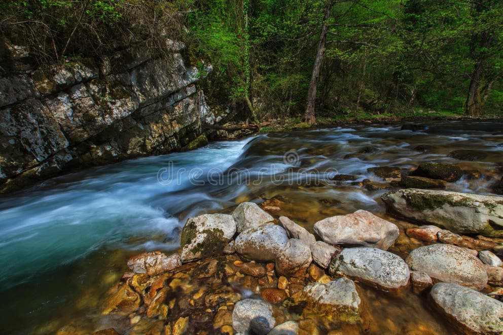Mountain Stream and Waterfalls in the Forest in Spring Stock Image ...