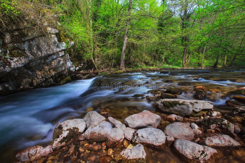 Mountain Stream and Waterfalls in the Forest in Spring Stock Photo ...
