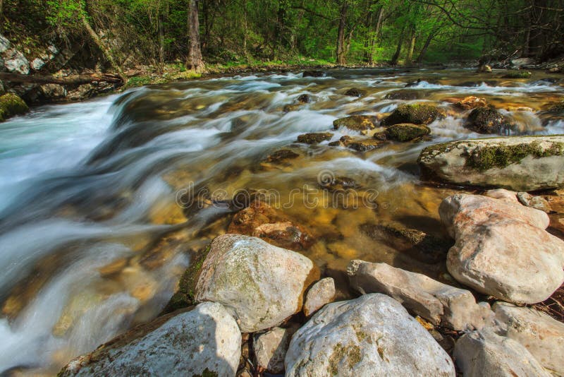 Mountain Stream and Waterfalls in the Forest in Spring Stock Photo ...