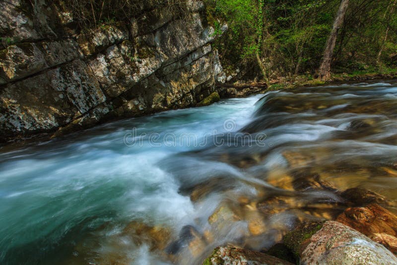 Mountain Stream and Waterfalls in the Forest in Spring Stock Image ...