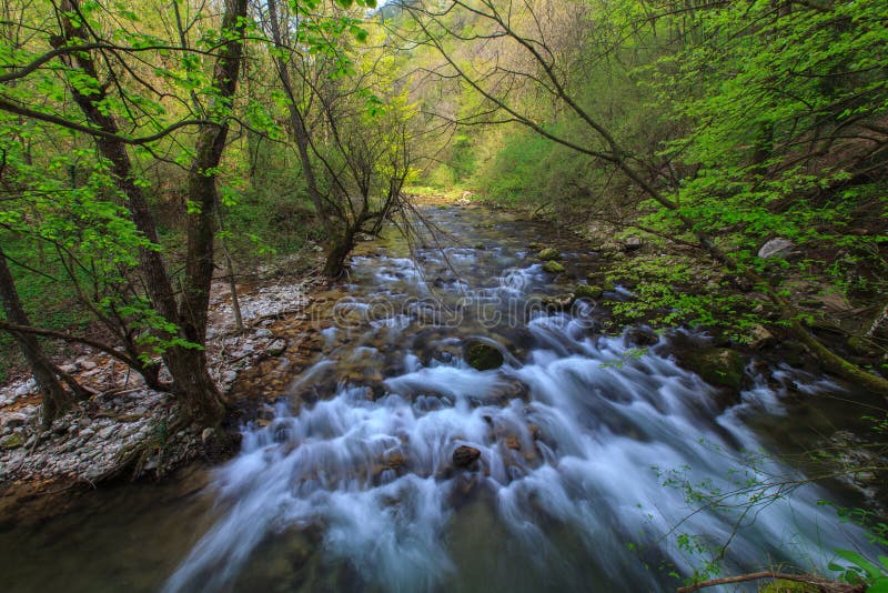 Mountain Stream and Waterfalls in the Forest in Spring Stock Photo ...