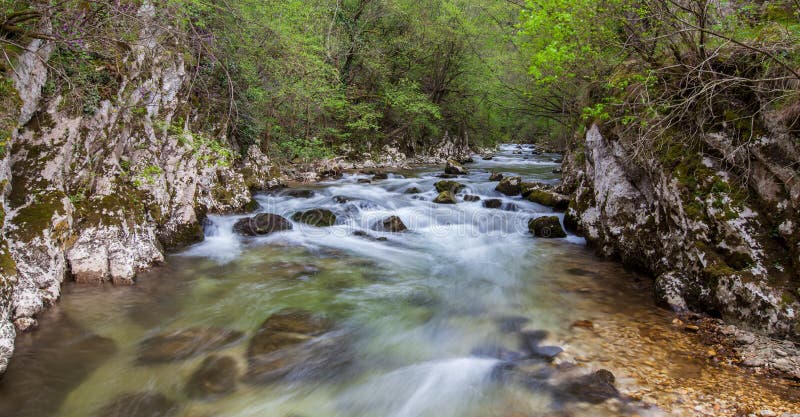 Mountain Stream and Waterfalls in the Forest in Spring Stock Photo ...