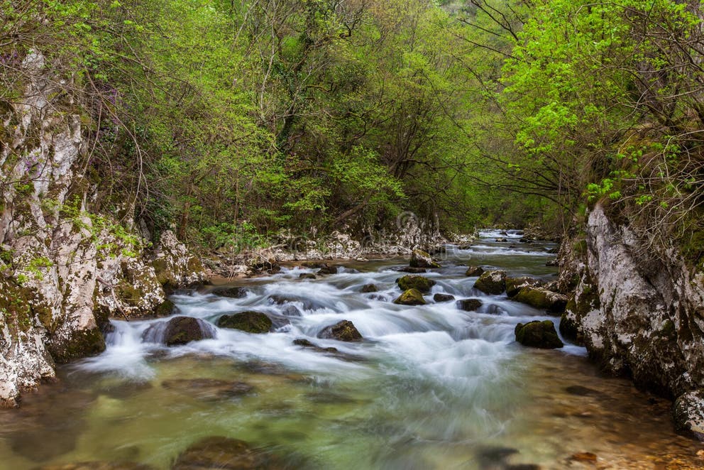 Mountain Stream and Waterfalls in the Forest in Spring Stock Image ...