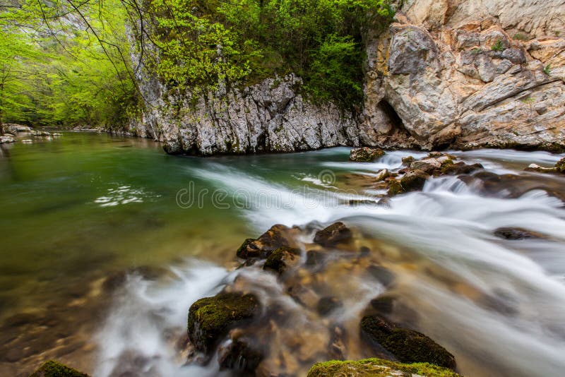 Mountain Stream and Waterfalls in the Forest in Spring Stock Photo ...