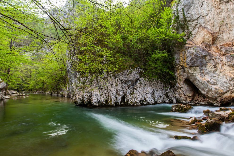 Mountain Stream and Waterfalls in the Forest in Spring Stock Photo ...