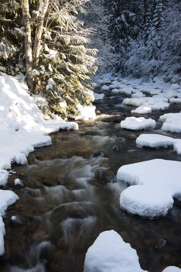 Mountain stream in winter. stock image. Image of snowy - 28723361