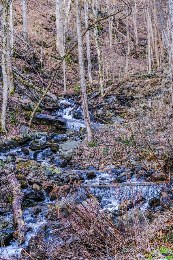 Mountain Stream in Winter stock photo. Image of state - 213584018