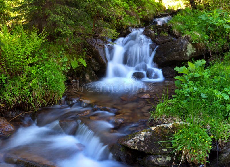 Mountain Stream in the Woods Stock Photo - Image of illumination ...