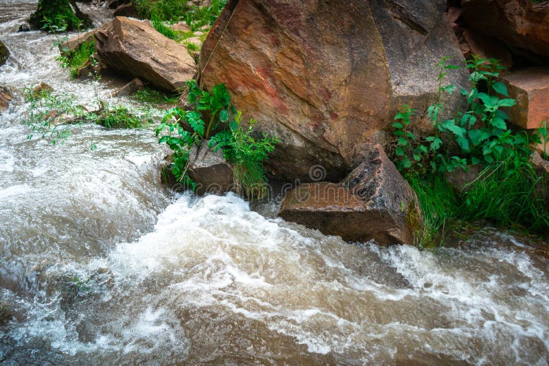 Mountain Stream in the Woods at Spring. Forest Stream in Mountains ...