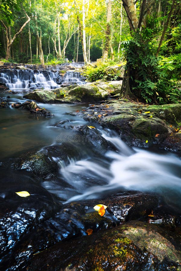 Mountain Stream among the Mossy Stones Stock Photo - Image of fresh ...
