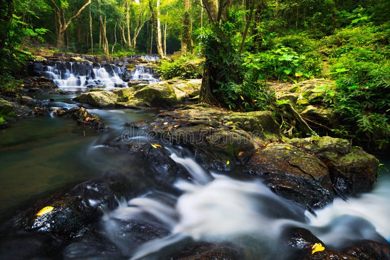 Mountain Stream and Waterfall Stock Photo - Image of cascade, green ...