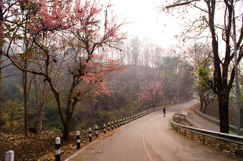 Mountain Strole Picture. Image: 6330303