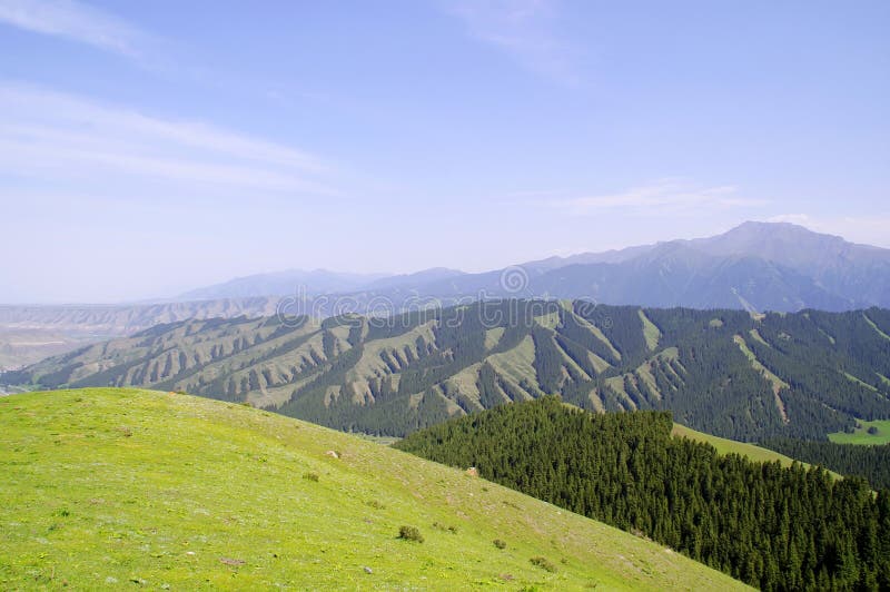 The mountain of summer stock image. Image of xinjiang - 36826091